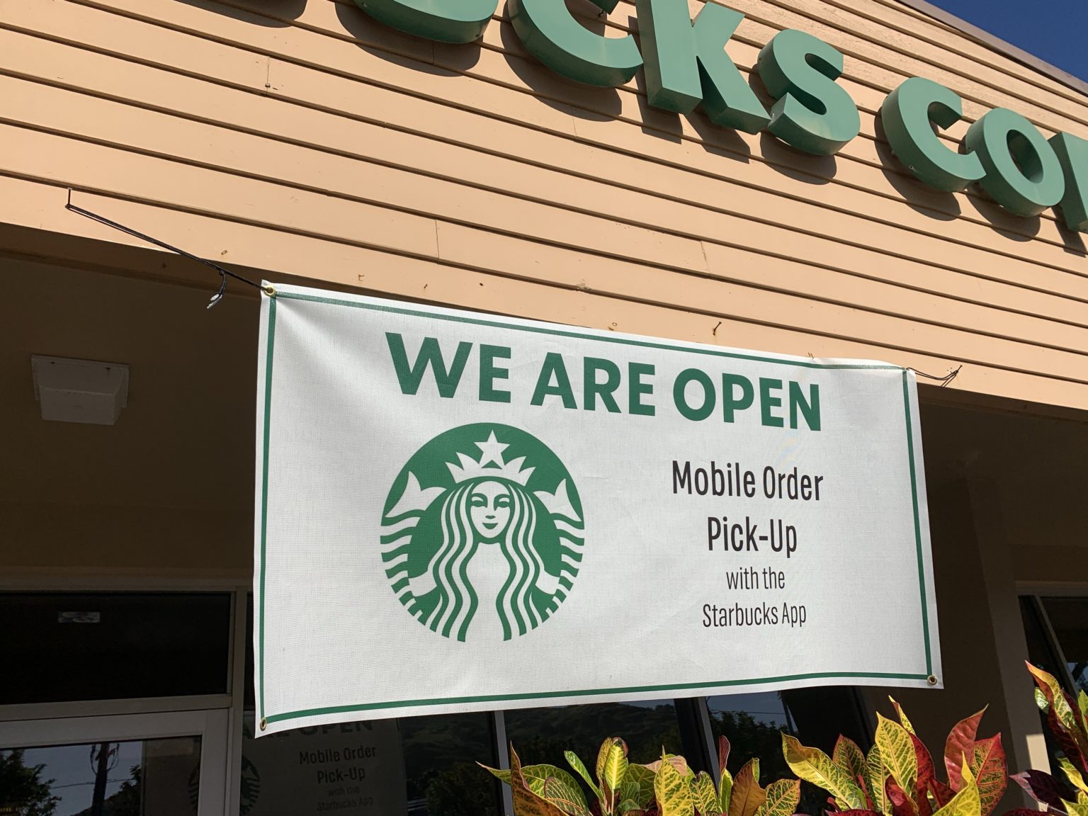 Rona Treat – Pulpconnection