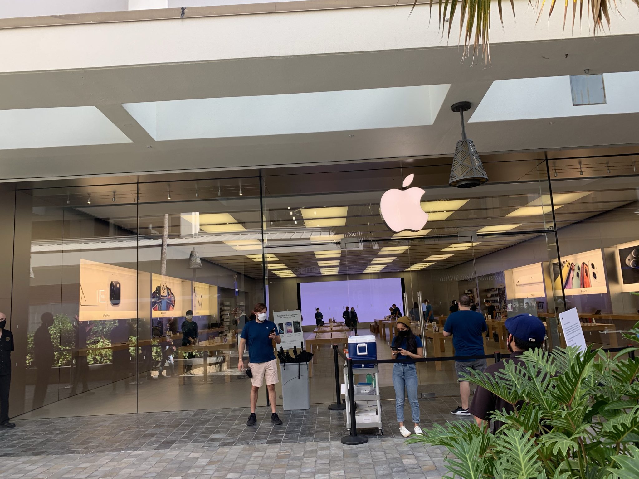 Rona Pseudo Openings – Pulpconnection